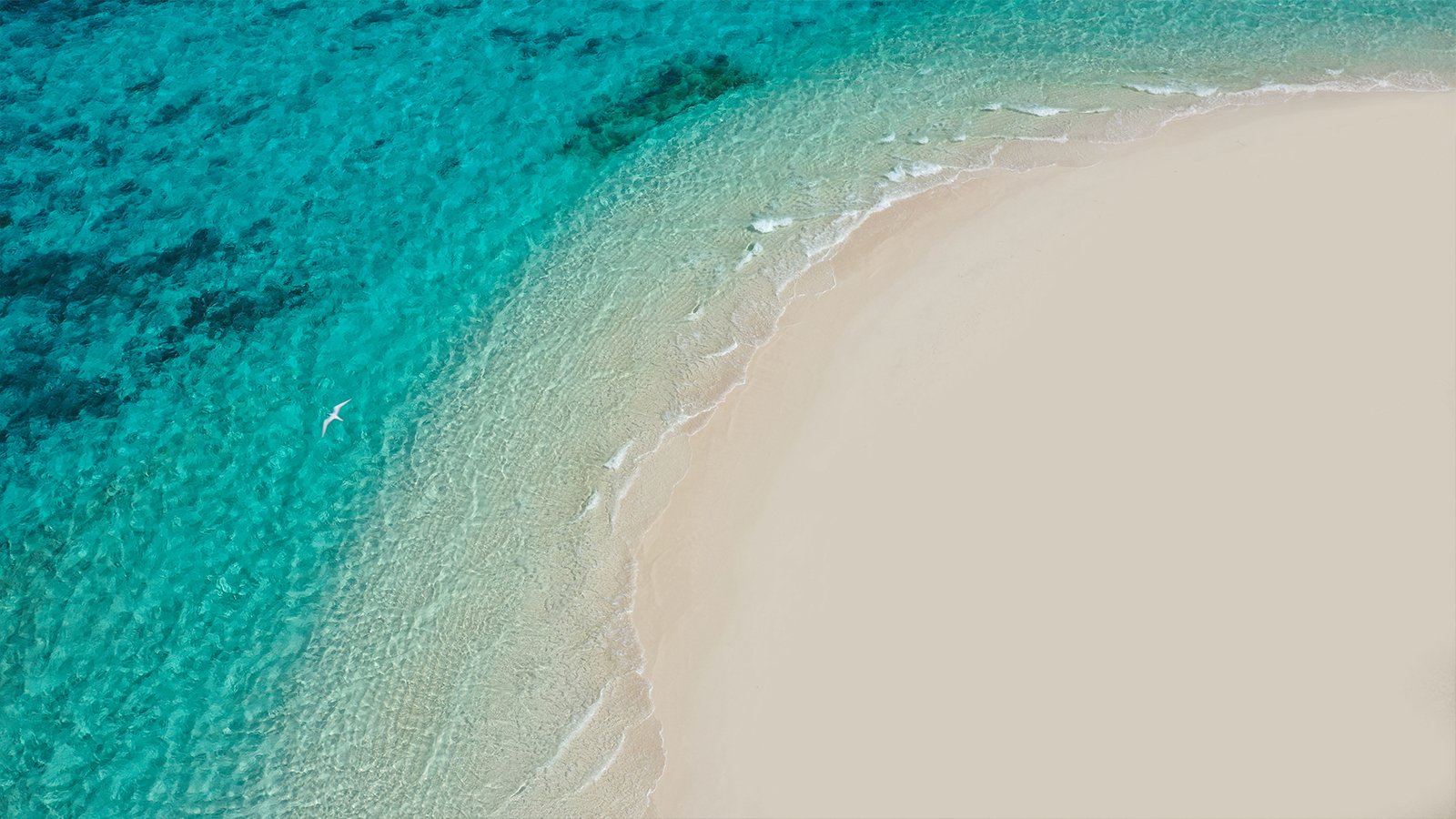 Eucon International University - Excellence in Golf Education